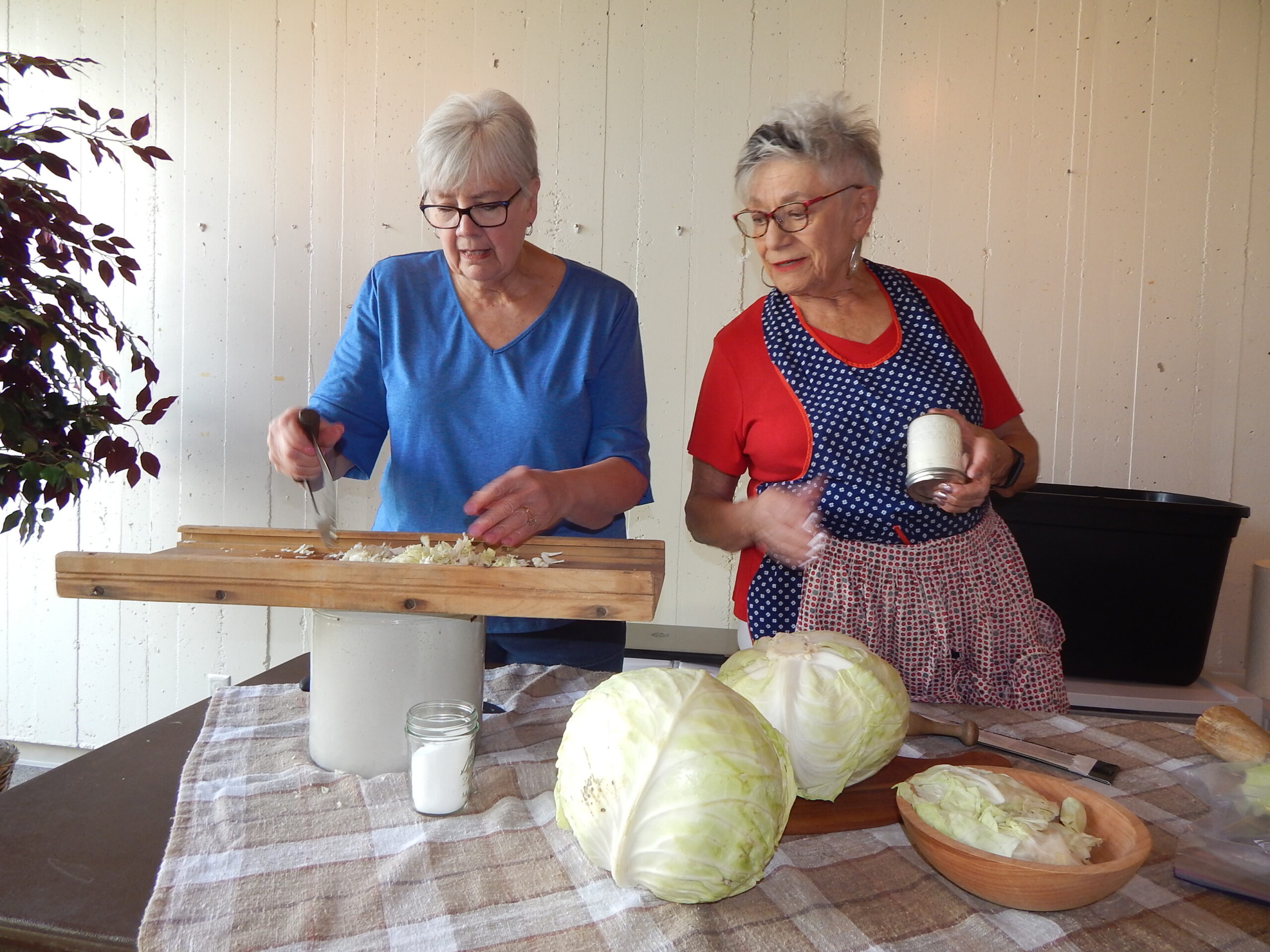 Sauerkraut the old fashioned way | News, Sports, Jobs - The Journal